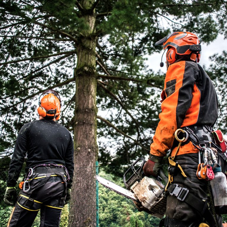 Shawyers | No.1 Expert Facilities Services Provider Across The South