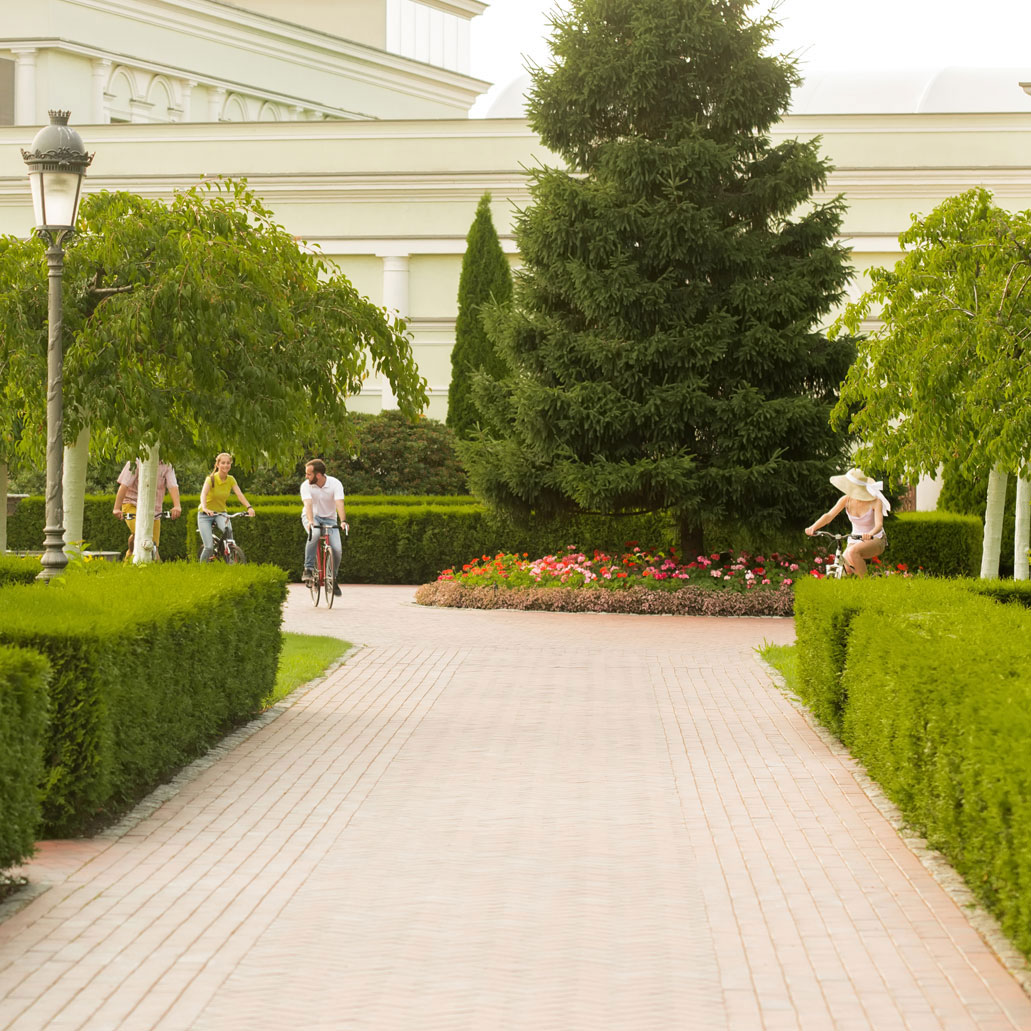 No.1 Expert Landscaping Services in Southern England | Shawyers